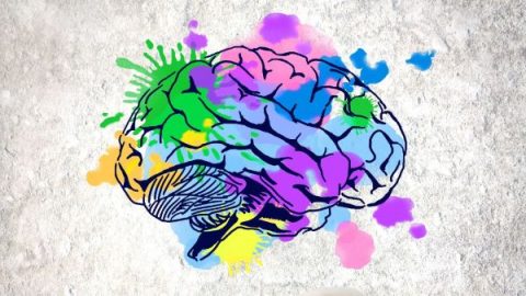 Importance of art and creativity in learning and development
